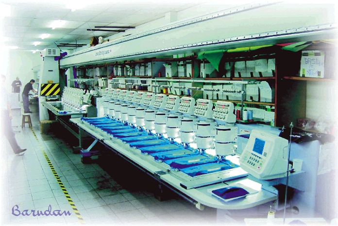 Proël Laserbridge: Innovatieve Lasermachines - PALS PRINT & SCREEN